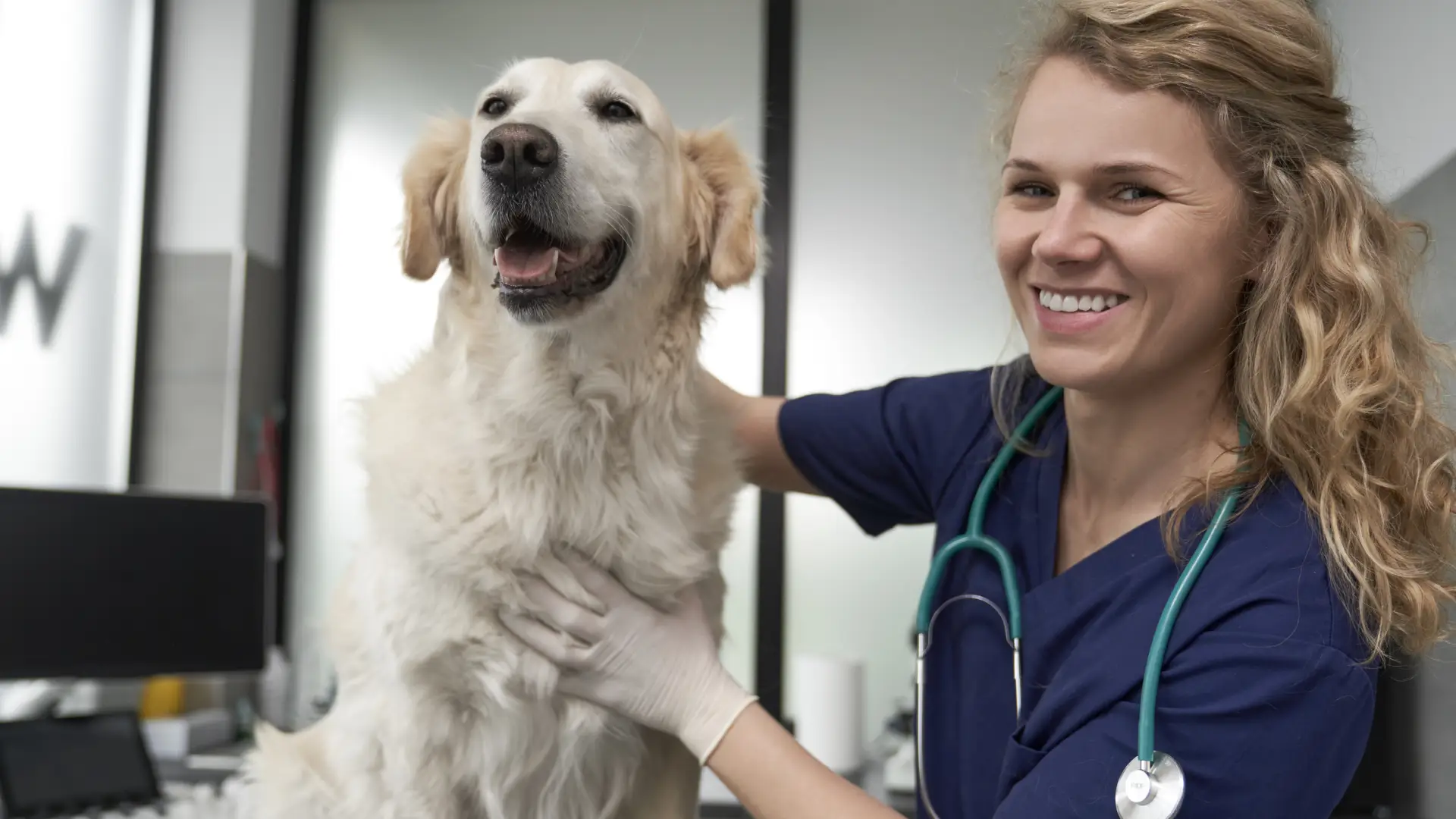 Veterinary Technician Assistant Diploma - Avalon Community College